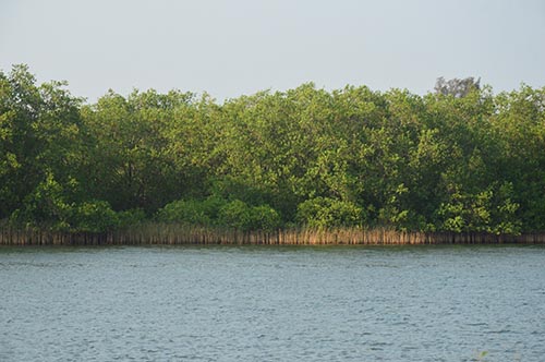 Udupi tourist places - Varahi River